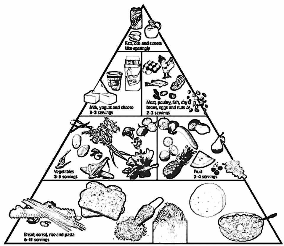 Food Pyramid Worksheet Free Esl Printable Worksheets Madeteachers 