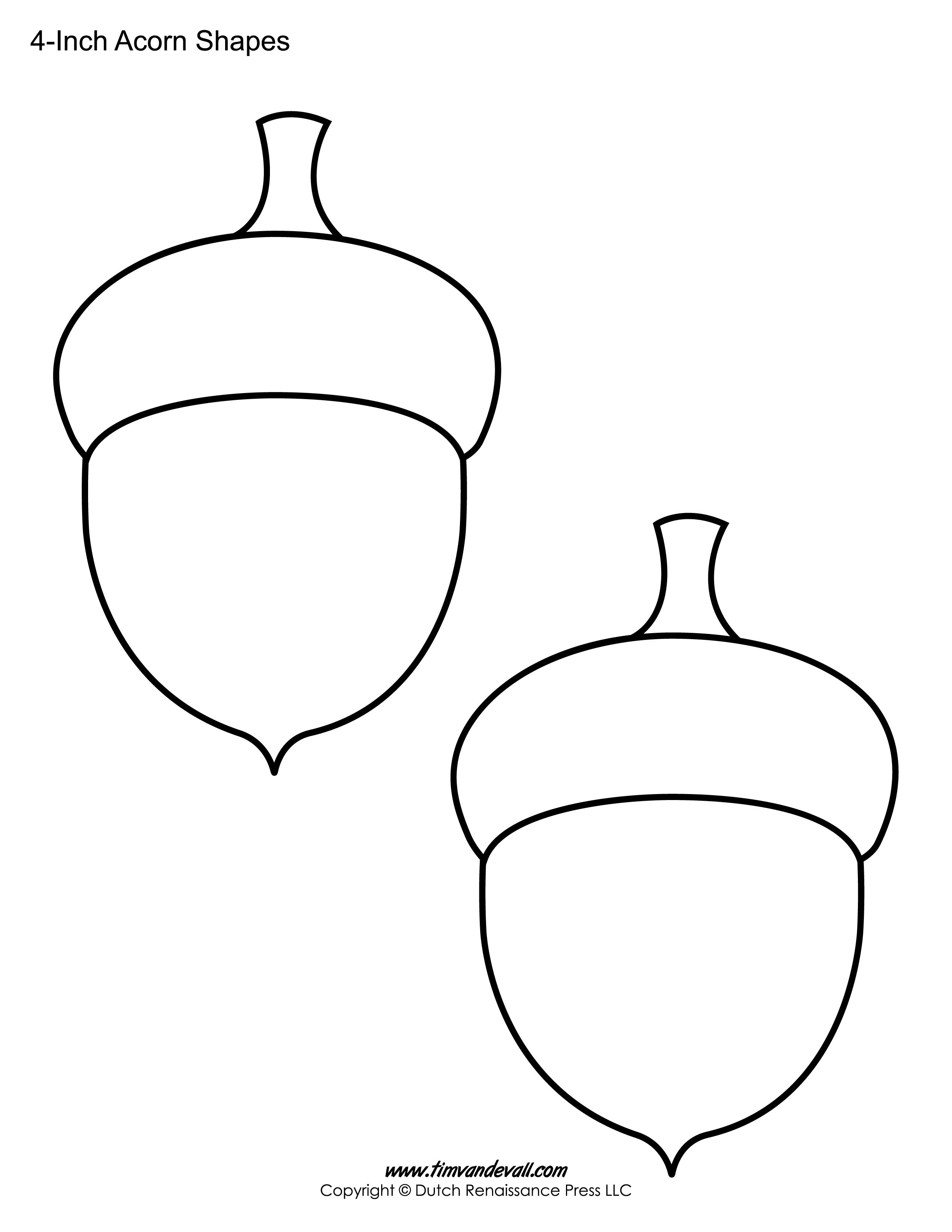 Acorn Template Free Printable Free Printable A To Z