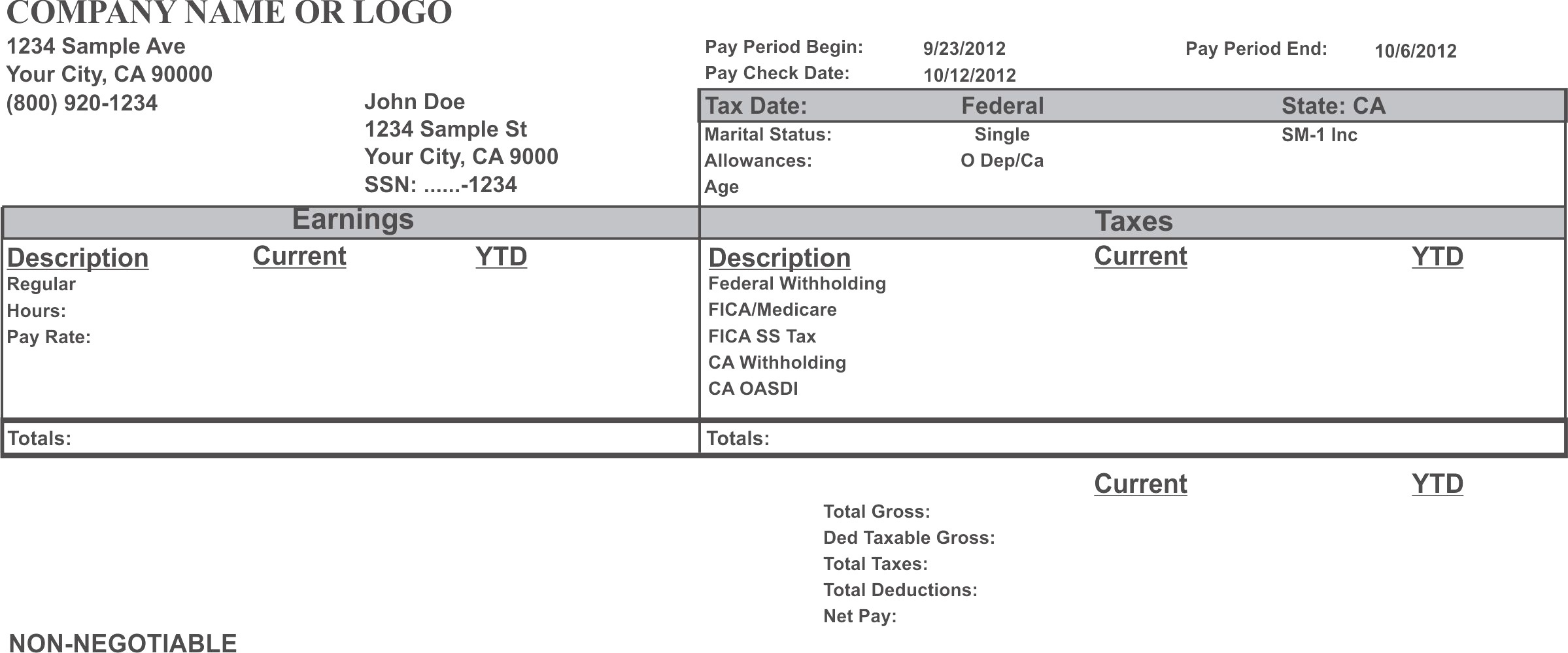 Adp Pay Stub Template Free Free Printable Blank Check Stubs Free 