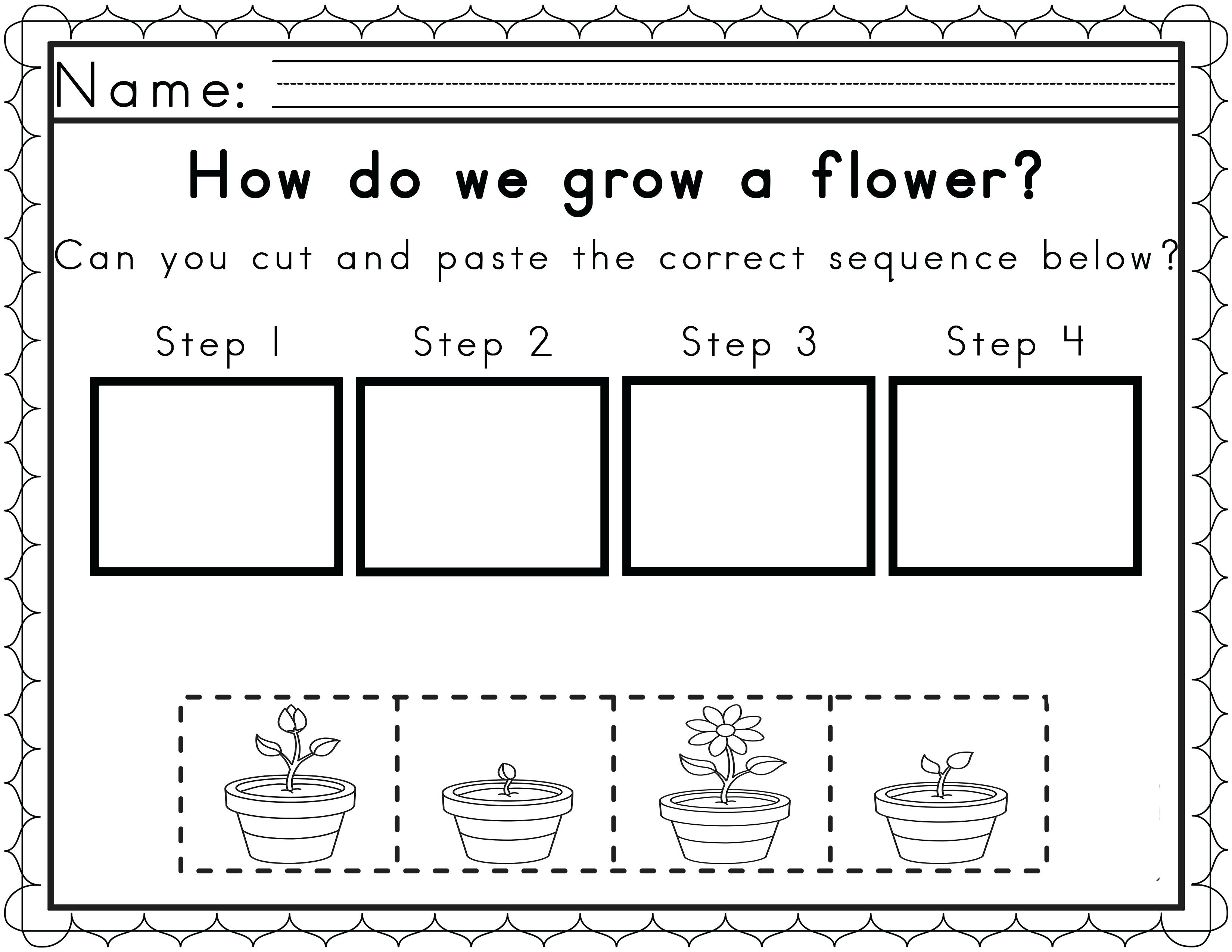 Sequencing Activities For 4th Graders